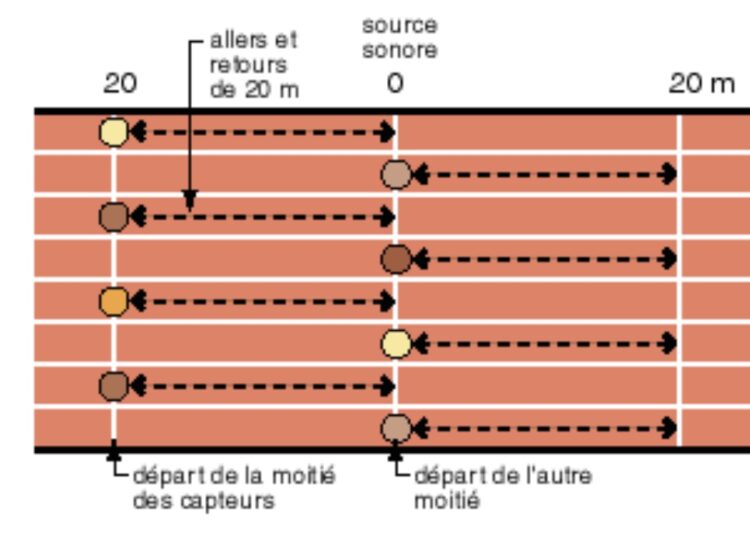Luc Leger : comment s'améliorer, progresser et s'entrainer au test Luc ...